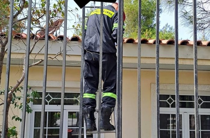 Πυροσβέστες απεγκλώβισαν γάτα από τις εγκαταστάσεις της ΕΥΔΑΠ - pet-in.gr