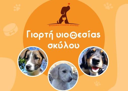 Γιορτή υιοθεσίας σκύλου στον Άλιμο - pet-in.gr