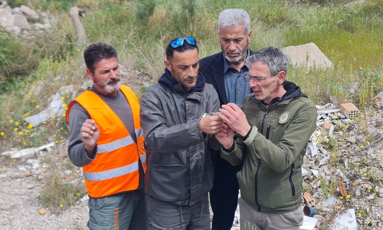 Σωτήρια επέμβαση για τα άγρια πουλιά του όρους Αιγάλεω, από τον ΠΕΣΥΔΑΠ ...
