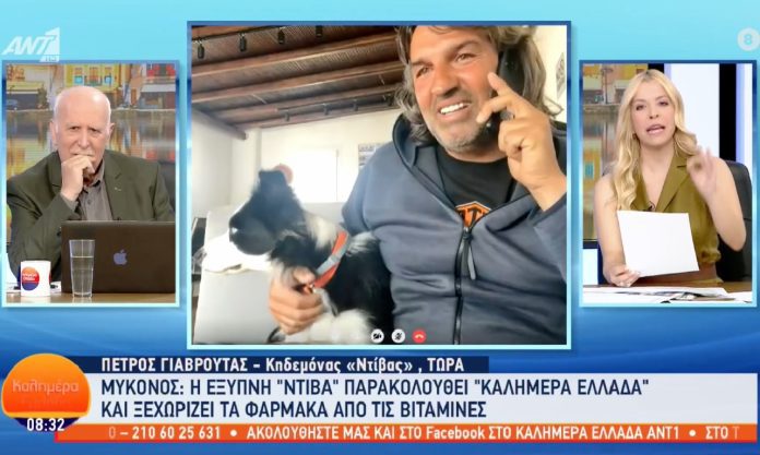 Η αληθινή «Ντίβα» της Μυκόνου που ξετρέλανε τον Παπαδάκη και την ...