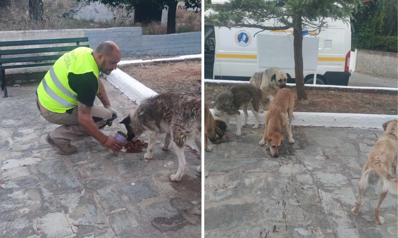 Ο Δήμος Ελευσίνας έχει διαθέσει βαν πρώτων βοηθειών και για τη μεταφορά ...