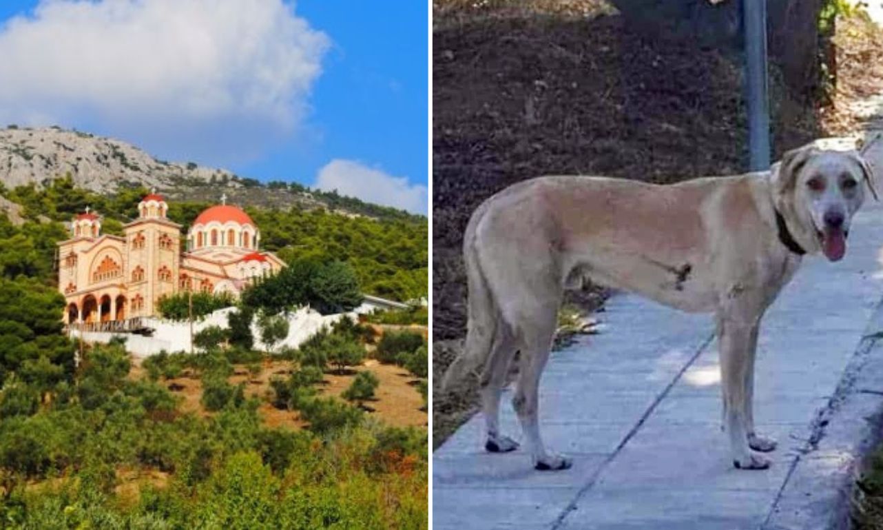 Ευχαριστήρια ανακοίνωση από την Μοναχή του Αγίου Κυπριανού Χασιάς στους ...
