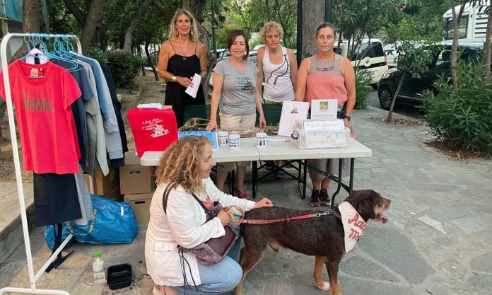 Φιλοζωικό παζάρι στην Α᾽Πλατεία Ψυχικού από τη Ζω.Φι.Ψυ. - pet-in.gr