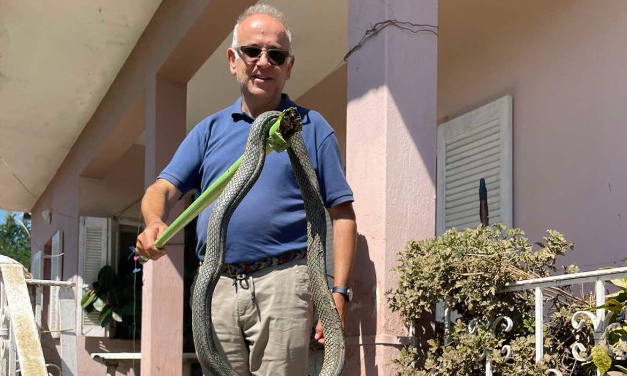 Φίδι 2,5 μέτρων βγήκε μέσα από τα νερά στον Παλαμά Καρδίτσας - pet-in.gr