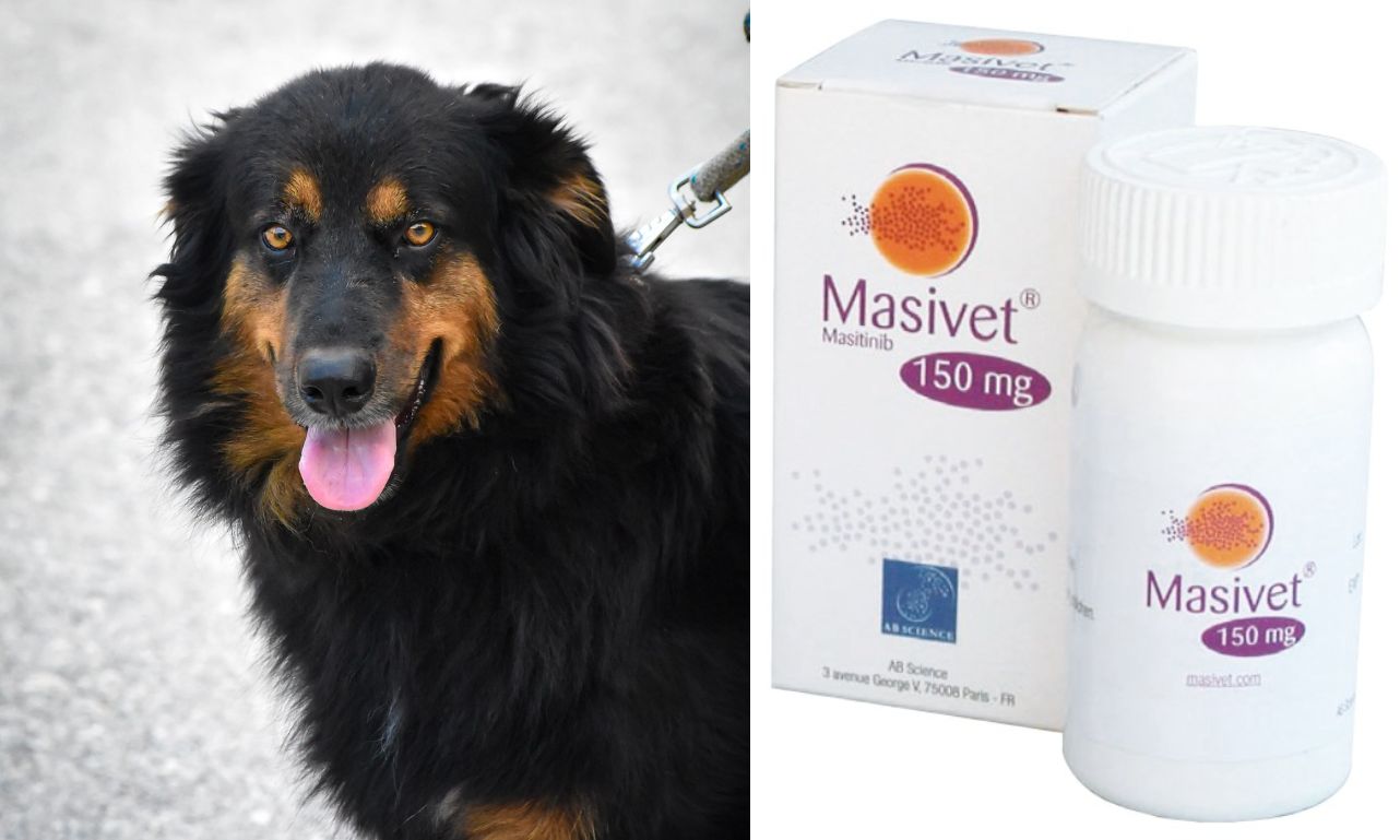 Μια μικρή βοήθεια μεγάλης σημασίας για τη Λητώ – Διαγνώστηκε με ...